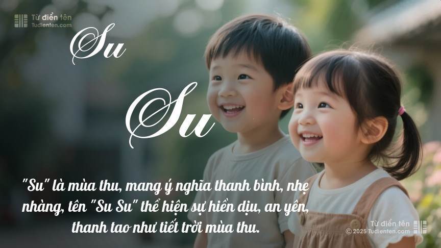 Tên Su Su: Ý nghĩa, Phân tích, Phong thủy và Thần số học