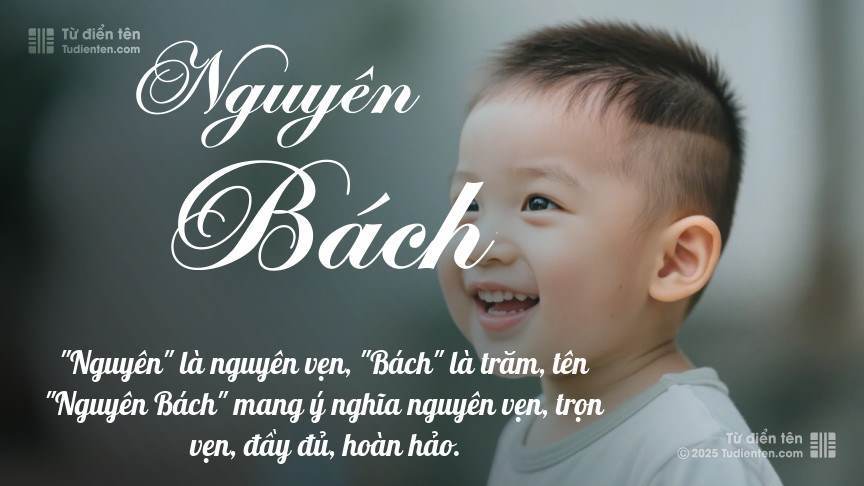 Tên Nguyên Bách: Ý nghĩa, Phân tích, Phong thủy và Thần số học